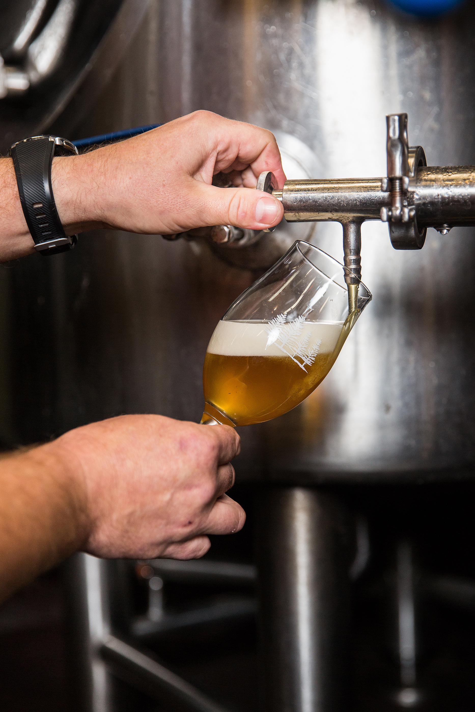 4 Pines Manly - Where It All Began | 4 Pines Beer